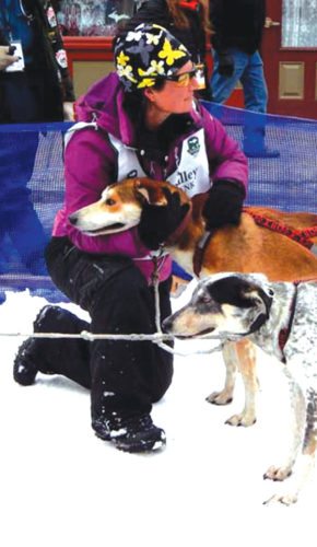 Musher saves competitor’s dog during Calumet’s CopperDog 150 | News ...